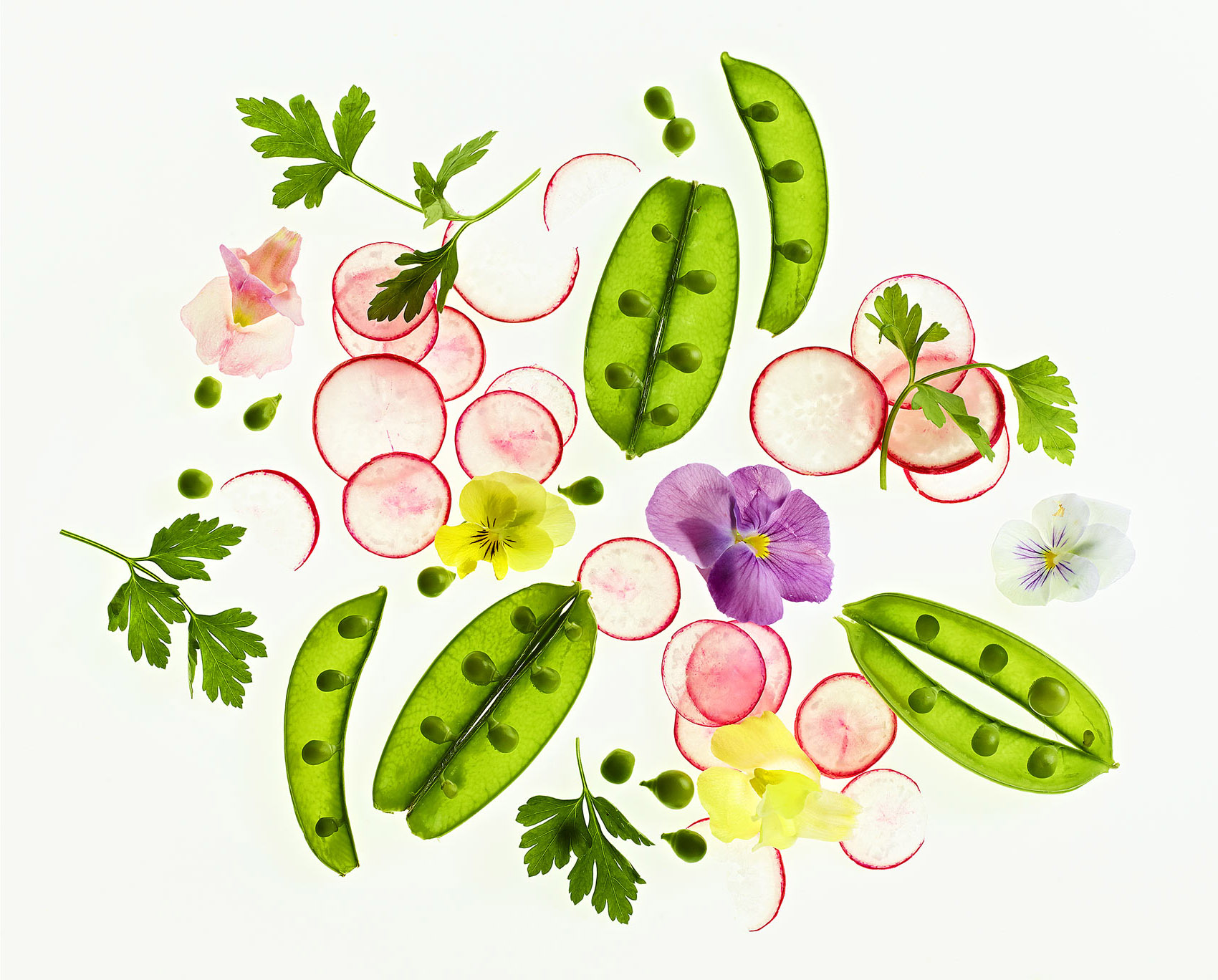 Will Shaddock Advertising Photography